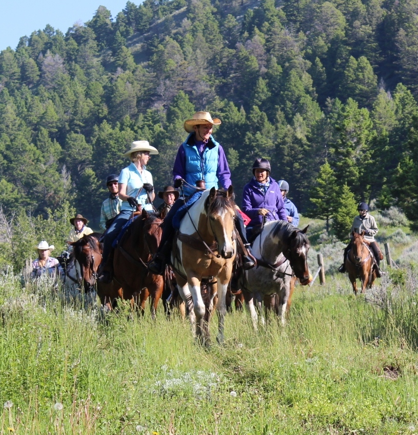 Corpus Equus by Naomi Goodsir | The Scented Hound